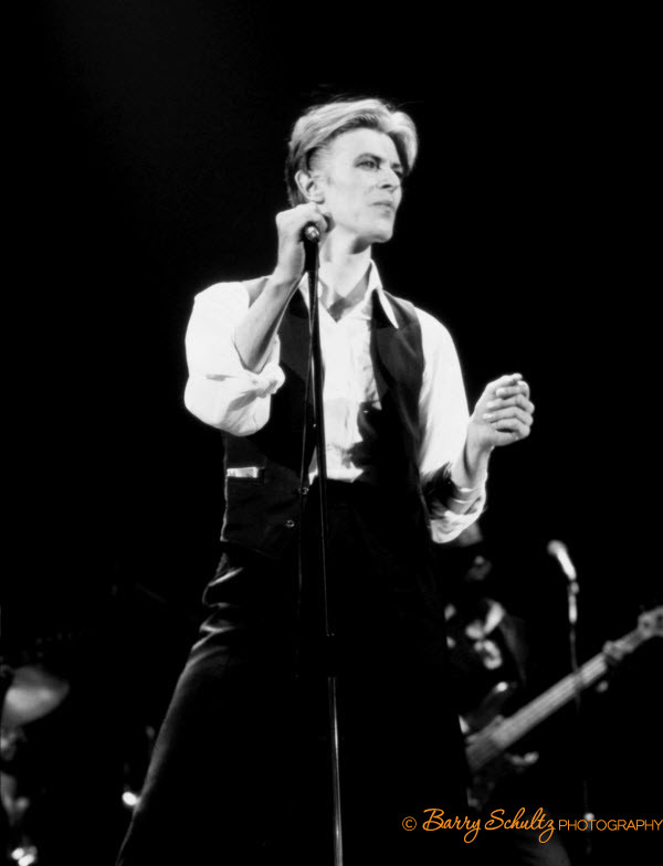 DAVID BOWIE - Barry Schultz Photography