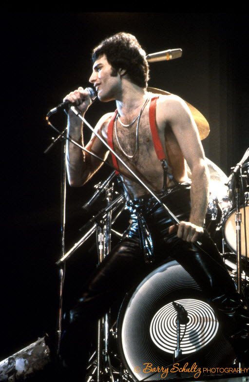 QUEEN - Barry Schultz Photography