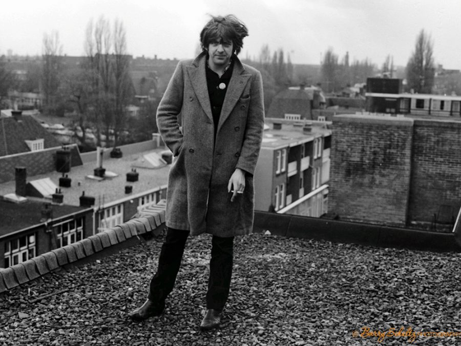 NICK LOWE - Barry Schultz Photography