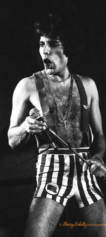 QUEEN - Barry Schultz Photography