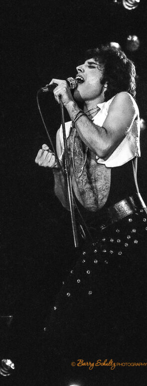 QUEEN - Barry Schultz Photography