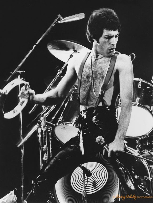 QUEEN - Barry Schultz Photography